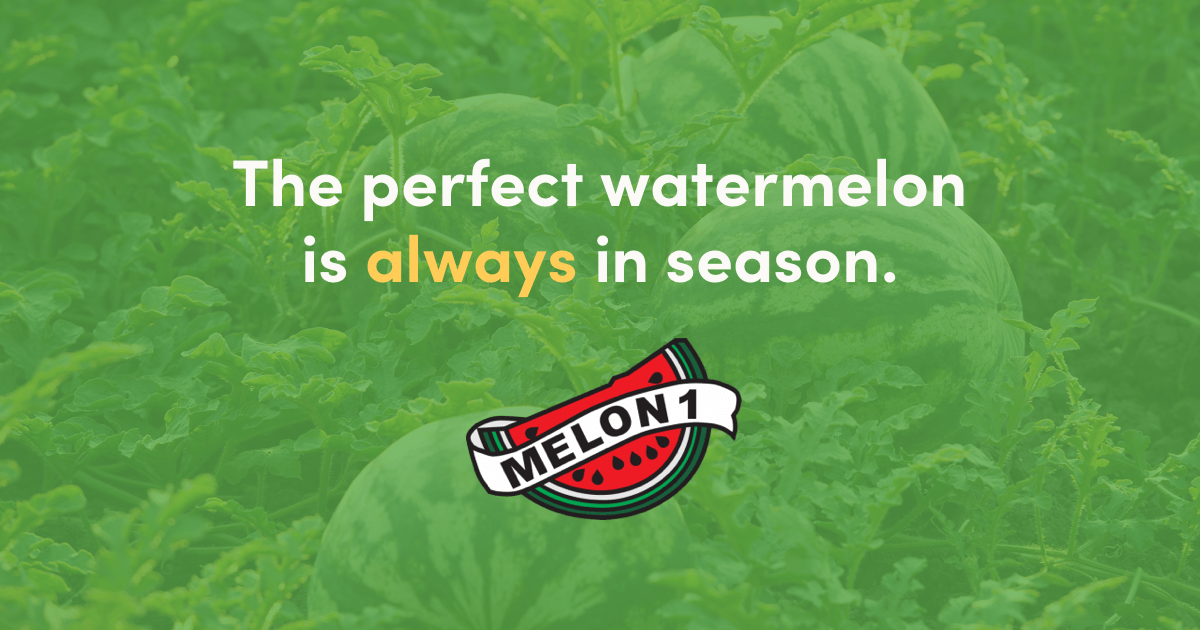 The perfect watermelon is always in season – Melon1